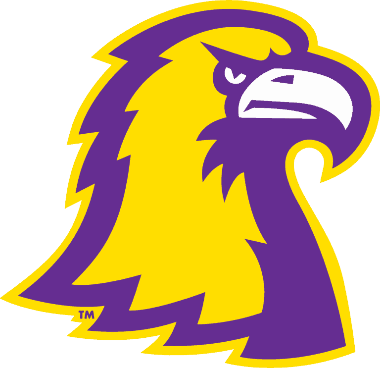 Tennessee Tech Golden Eagles Logo - PNG Logo Vector Brand Downloads ...