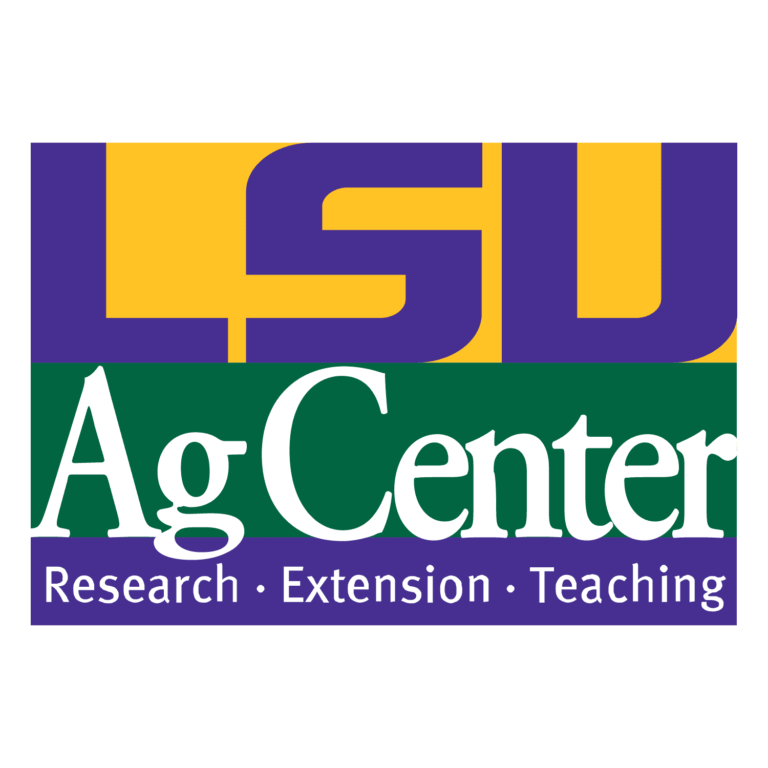 Louisiana State University Logo [LSU | 01] - PNG Logo Vector Brand ...