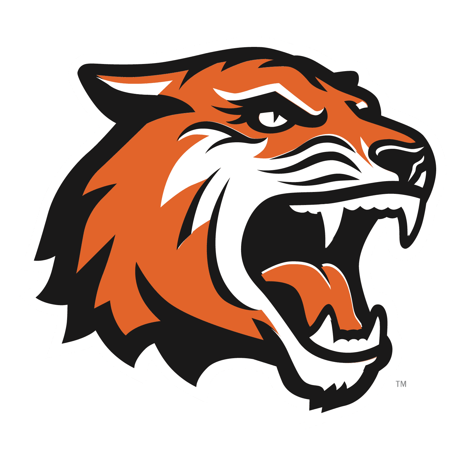 RIT Tigers Logo | v1 - PNG Logo Vector Brand Downloads (SVG, EPS)