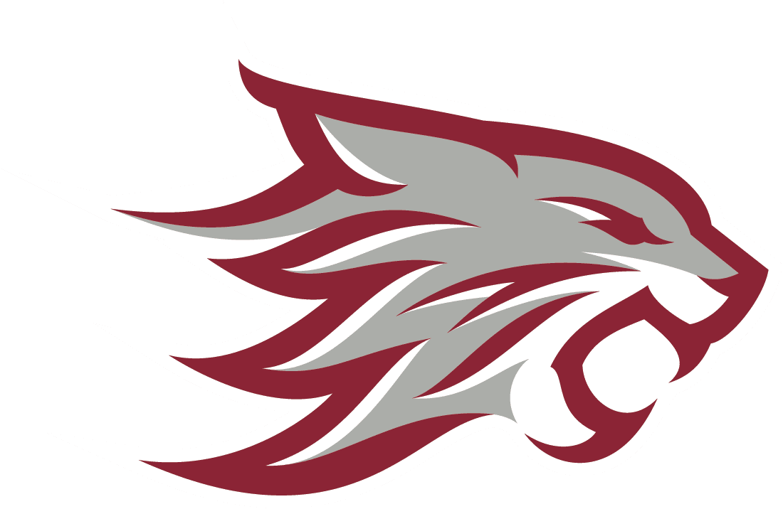 Chico State Wildcats Logo - PNG Logo Vector Brand Downloads (SVG, EPS)